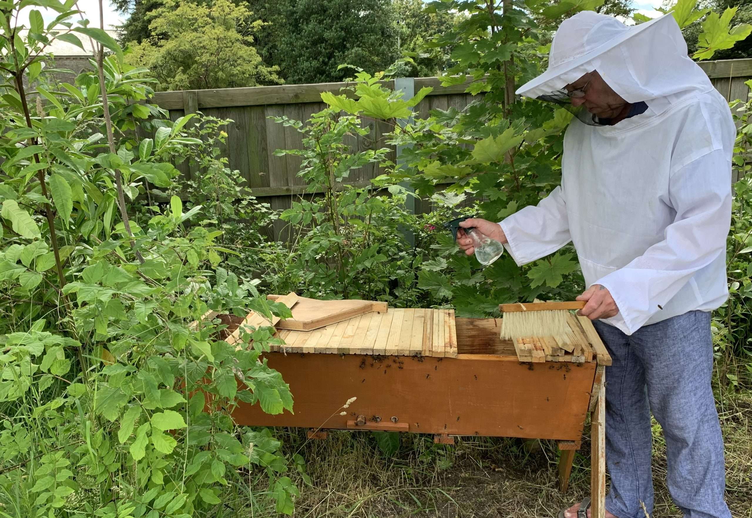 Hands‑On Natural Beekeeping Experience at Queen Bee Cabin